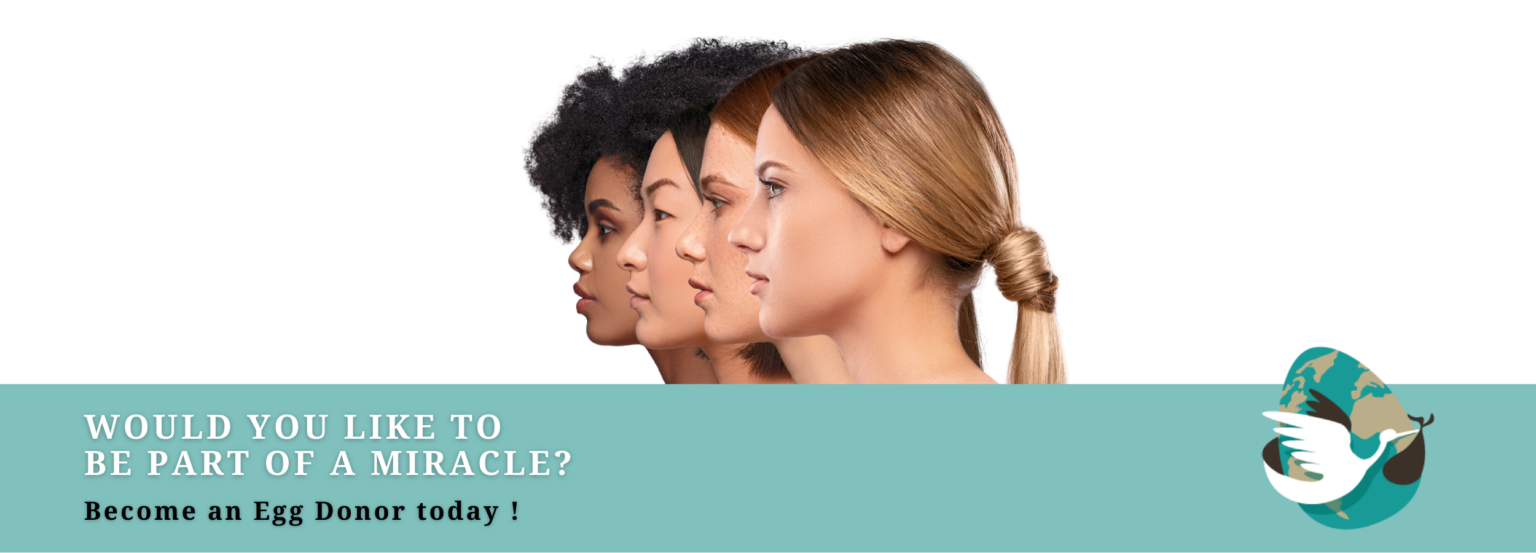 Become an Egg Donor Today! | Eggspecting